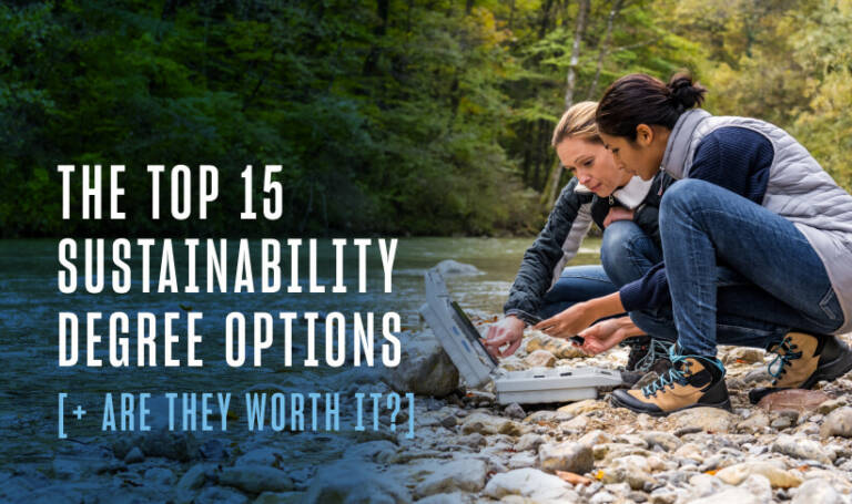 What Is an Environmental Consultant? Role, Salary & More