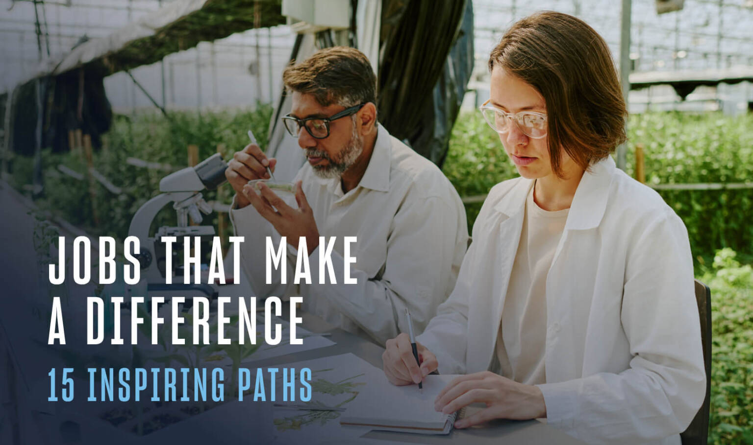 Jobs That Make a Difference: 15 Inspiring Paths